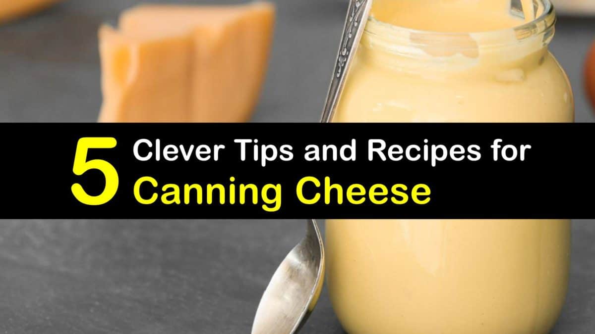 Canning Cheese - Nifty Canned Cheese Tips