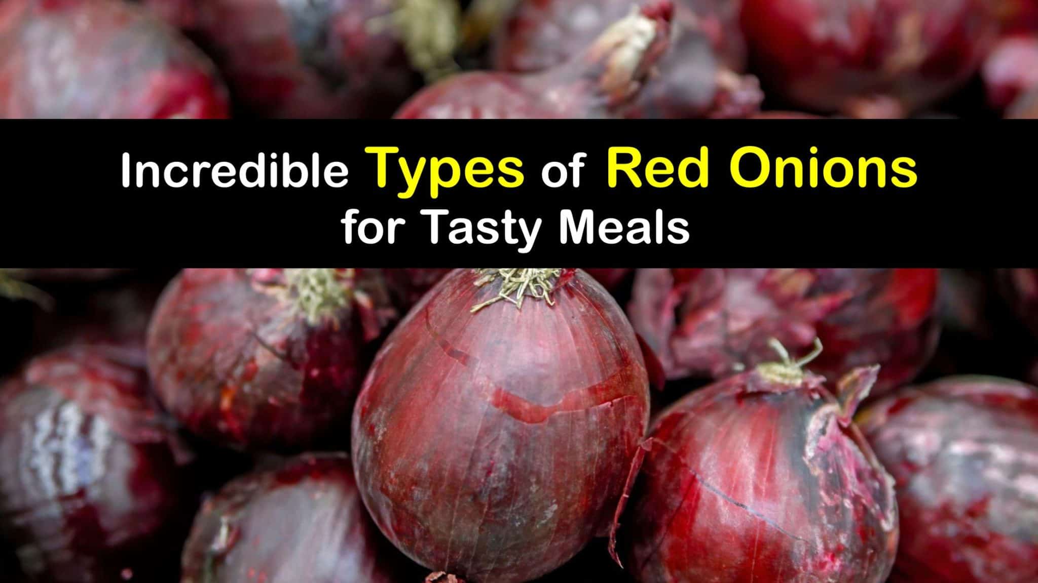 Red Onion Varieties - Amazing Kinds of Red Onions