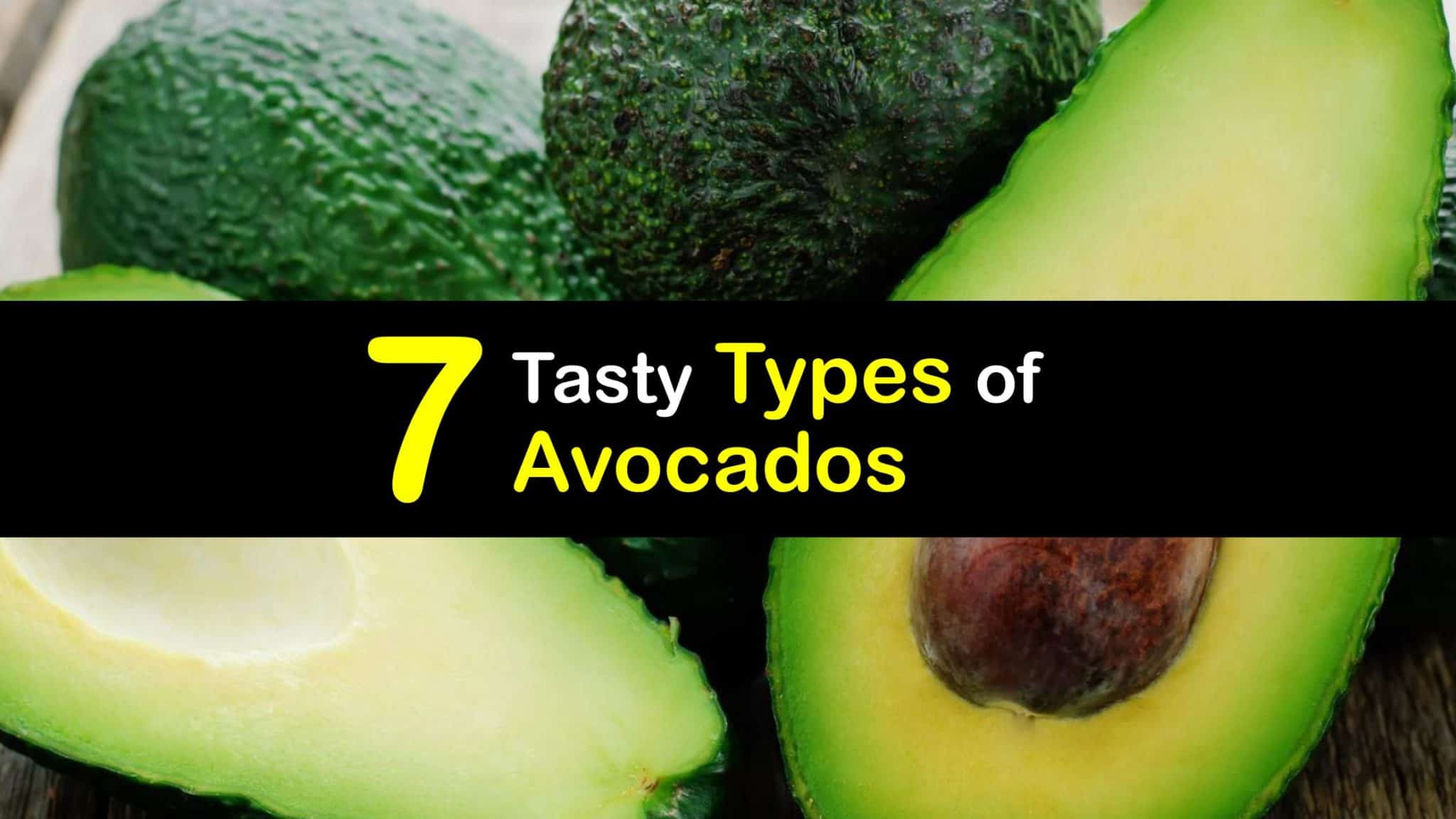 Common Avocado Varieties - Choosing Different Avocado Types