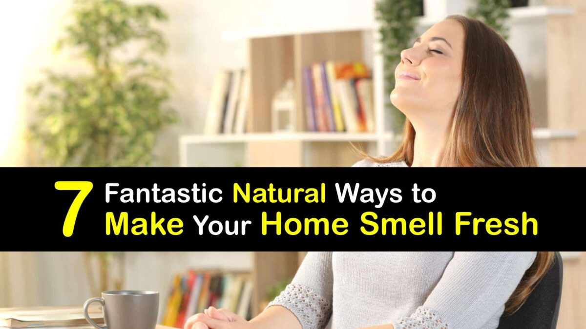 Natural Odor Elimination - Quick Guide for Freshening Your Home