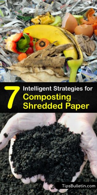 Is Shredded Paper Good for Composting