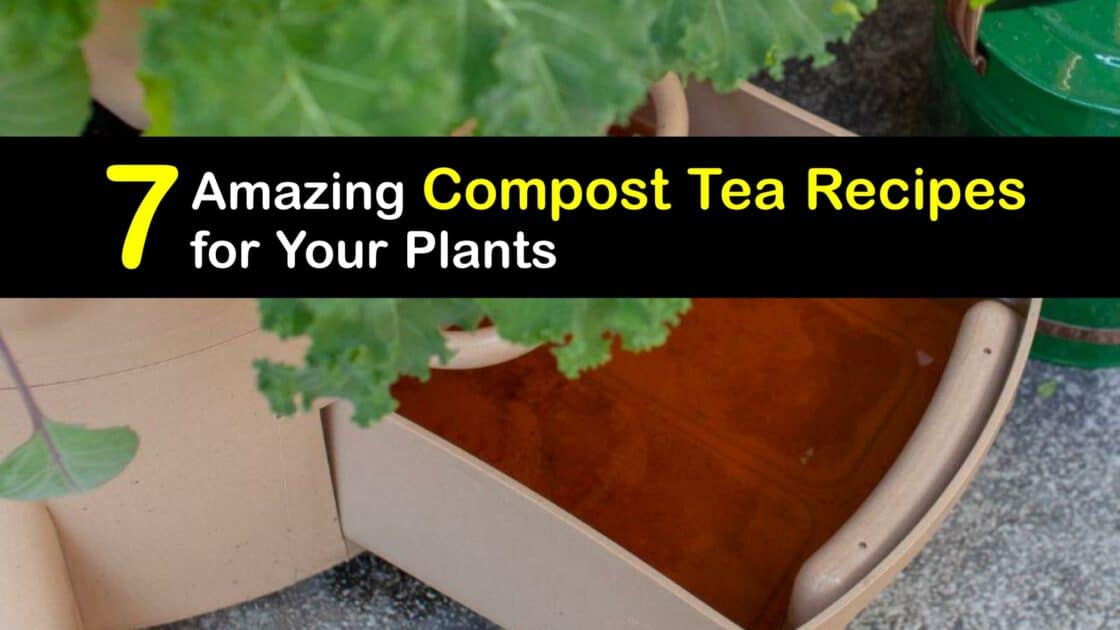 Homemade Compost Tea - Fantastic Recipes for Liquid Compost