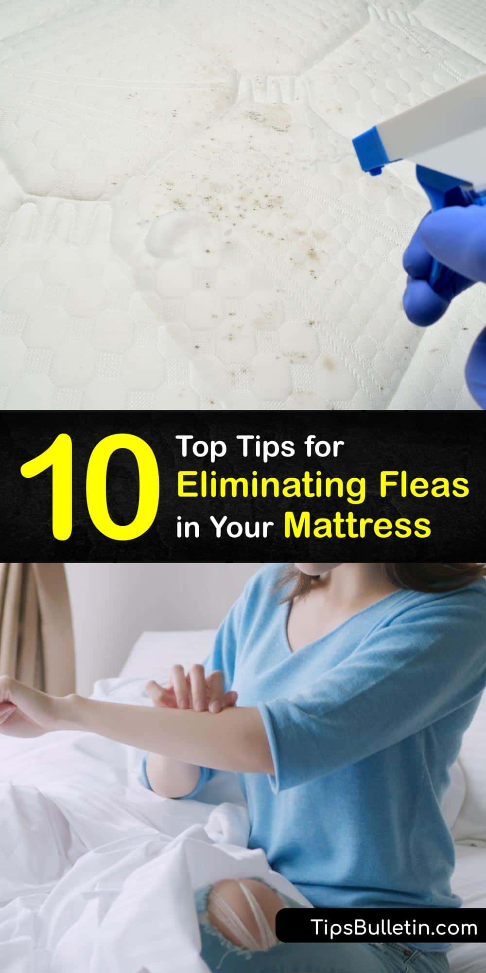 Treat A Flea Infested Mattress Getting Rid Of Fleas In Mattresses