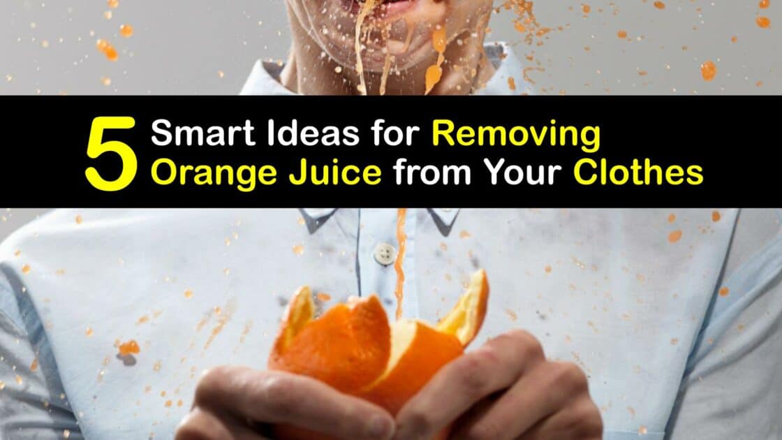 Cleaning Orange Juice Stains - Wash Orange Juice from Clothes