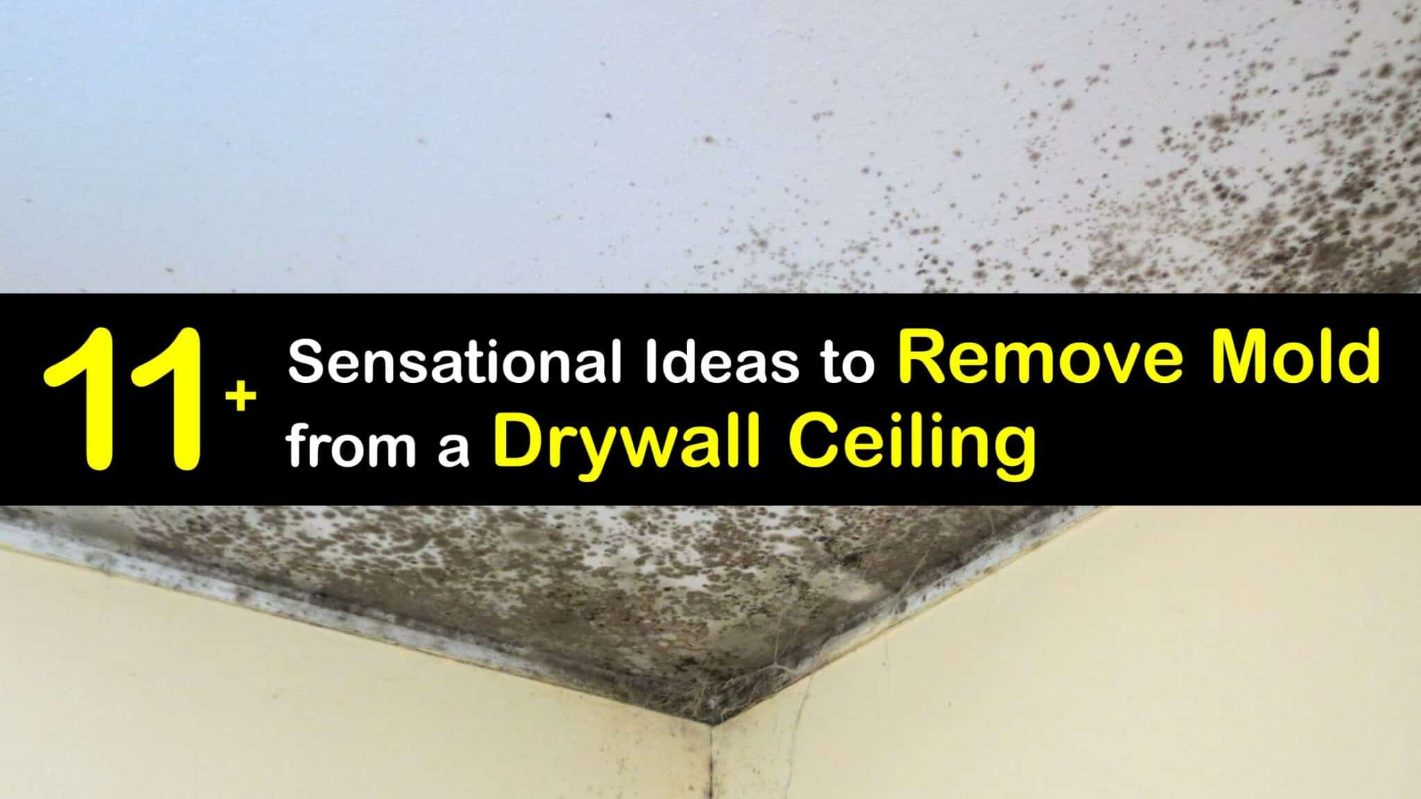 Eliminate Mold from Drywall - Removing Mold from the Ceiling