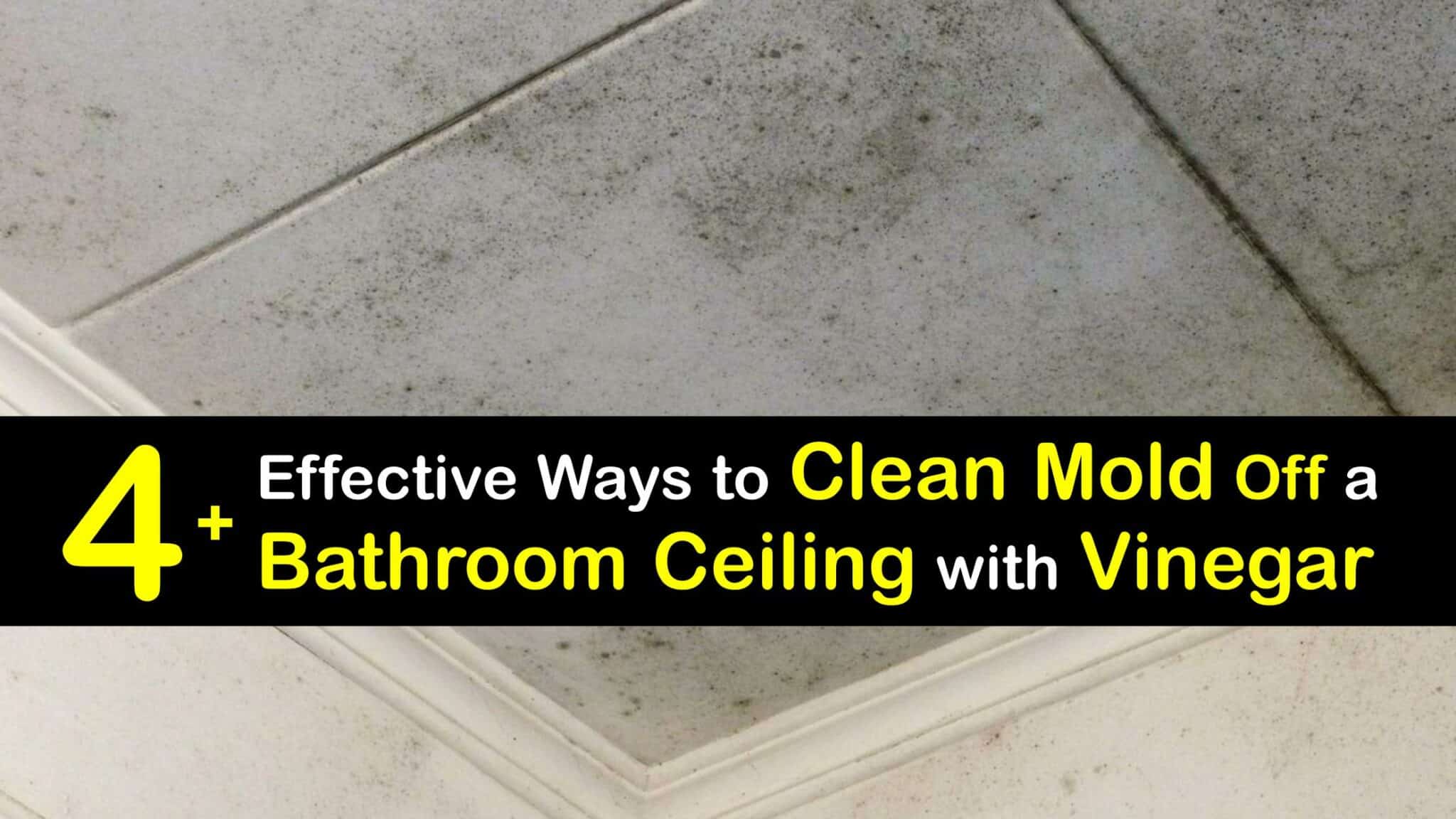 Bathroom Ceiling Cleaning Getting Mold Off Ceilings With Vinegar