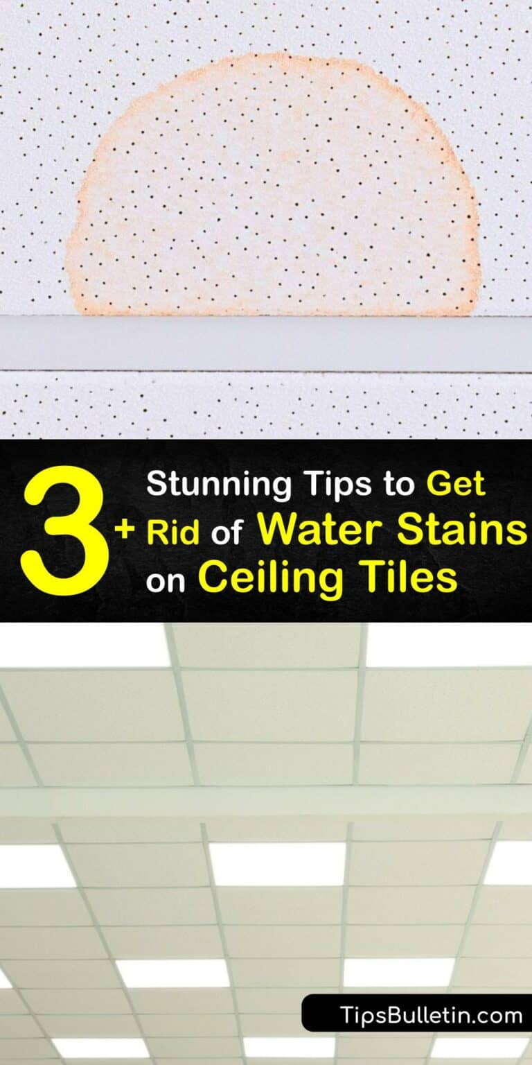 Eliminate Water Stains - Removing a Brown Stain from Ceiling Tiles