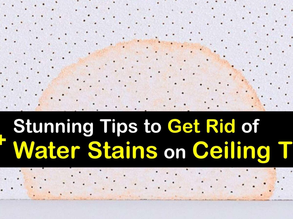 How To Get Water Stains Out Of Ceiling Tiles