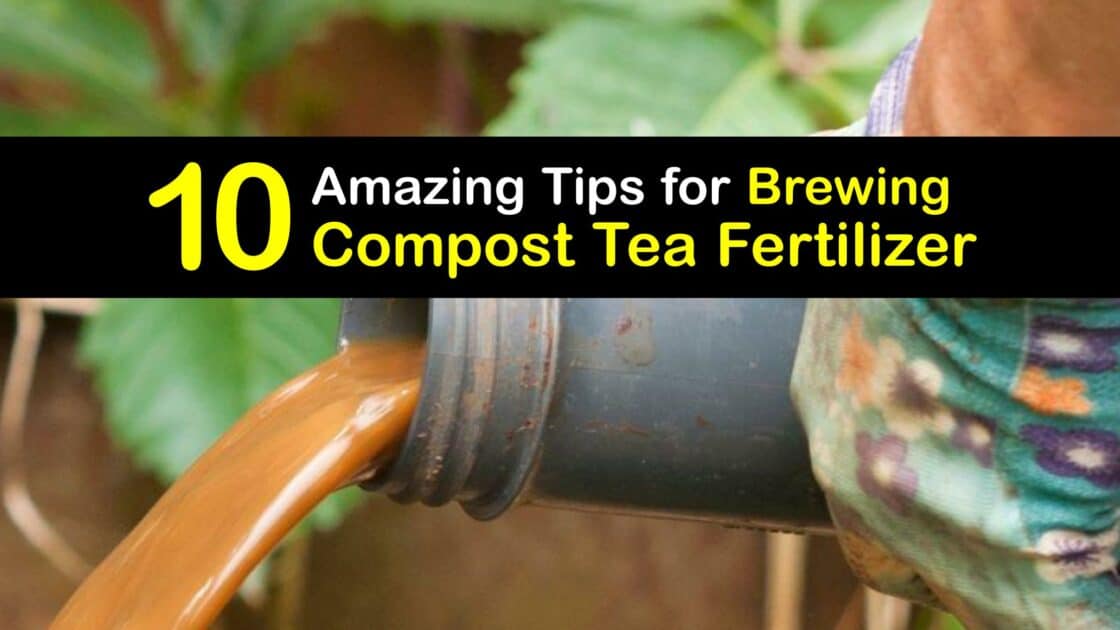 Brew Your Own Compost Tea - DIY Compost Fertilizer