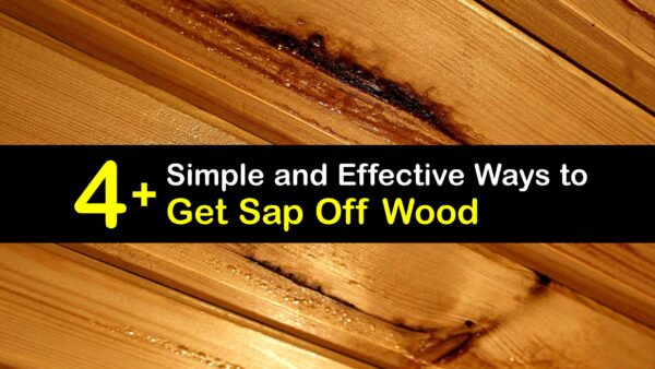 Eliminate Tree Sap Stains - Tricks for Removing Sap from Wood