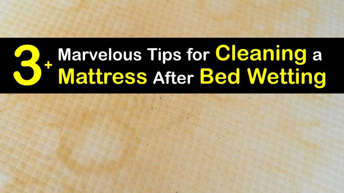 Bed Wetting Care - DIY Tips for Cleaning Urine Off the Mattress