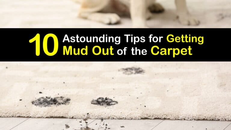 Muddy Carpet Cleaning - Tips for Removing Mud from Carpeting