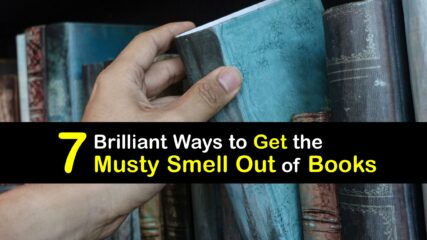 Eliminate Musty Book Smells - Removing Odors from Books