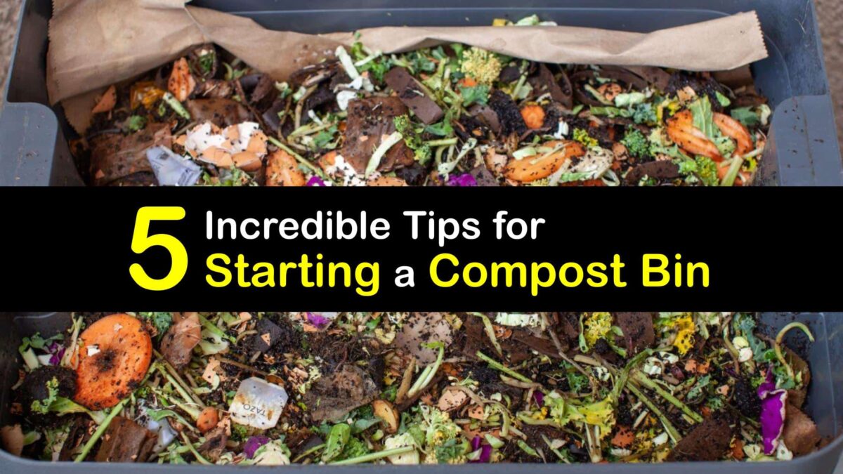 What to Put in the Compost Bin - Composting for Newbies