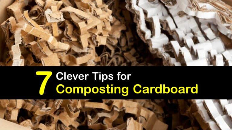 Composting Cardboard - Easy Ways to Add Cardboard to Compost