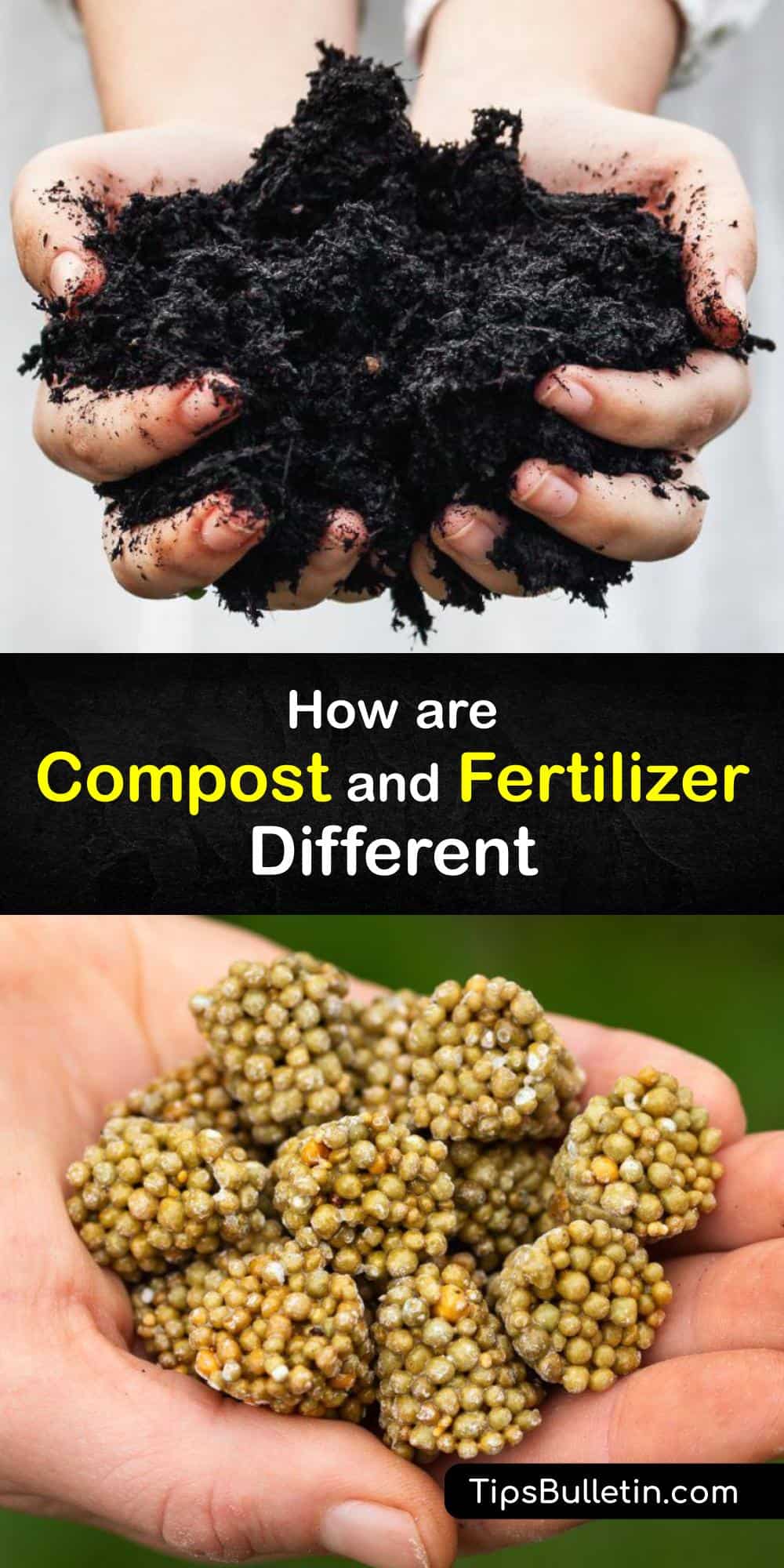 Using Compost vs Fertilizer - Is There a Difference in the Garden