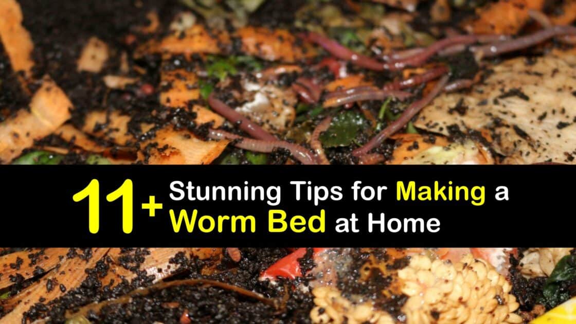 Worms for Compost - Make Your Own Worm Bed
