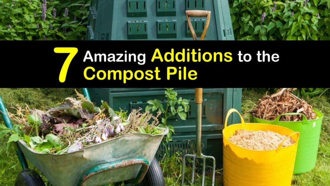 What Can You Put in a Composter - Guide to Compostable Items