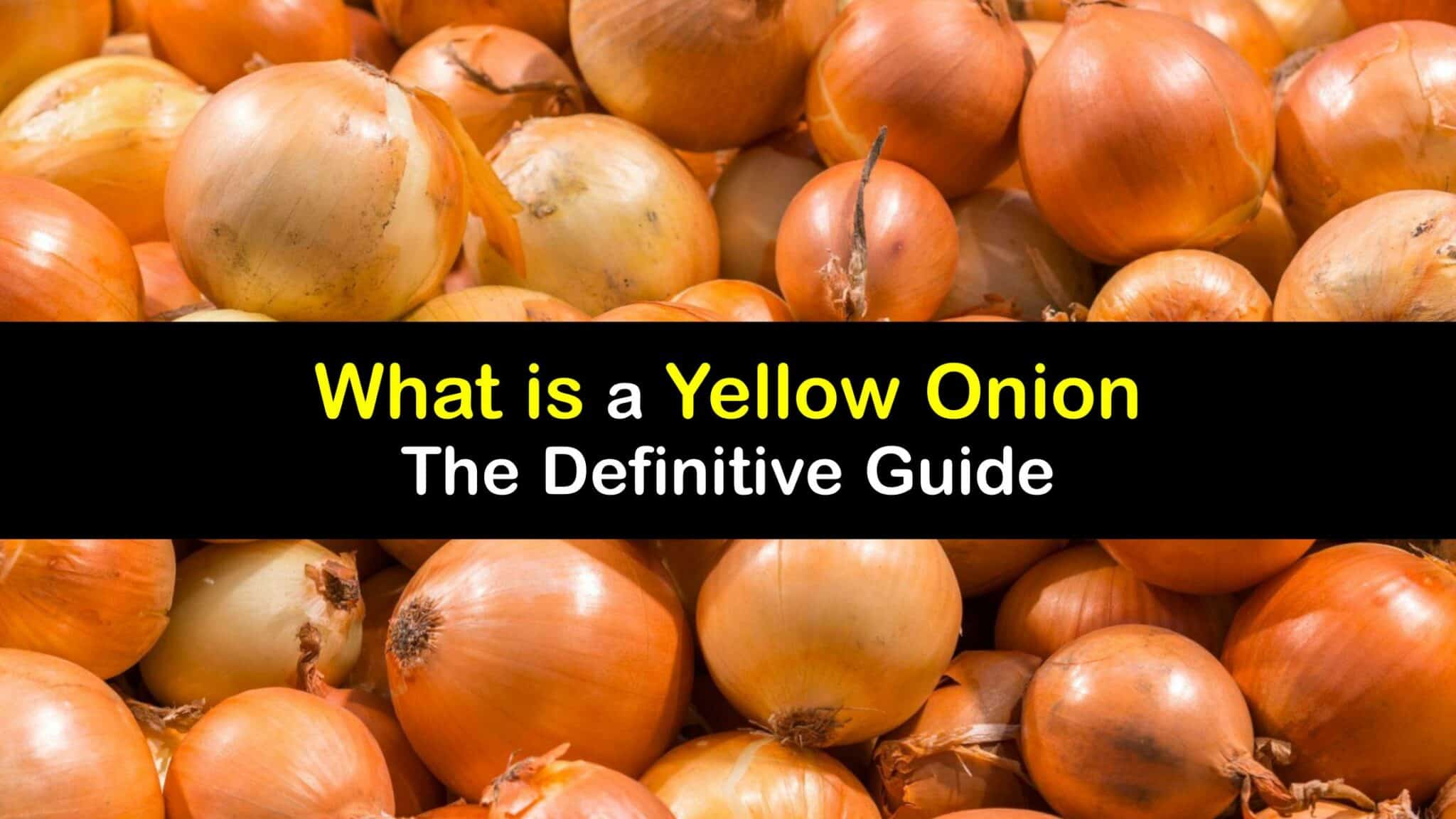 Yellow Onion Growing - Learn More about Yellow Onions