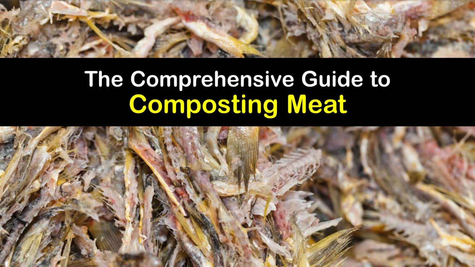Composting Meat - Is Meat Good for Compost