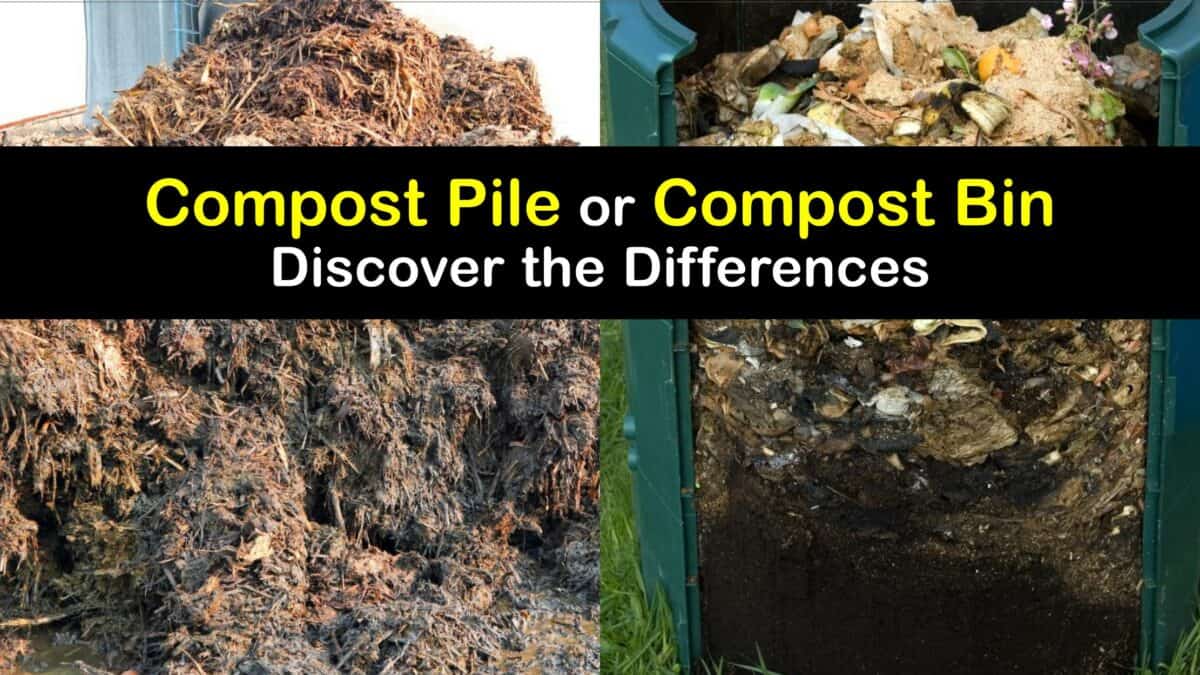 Which is Better - The Compost Pile or Compost Bin