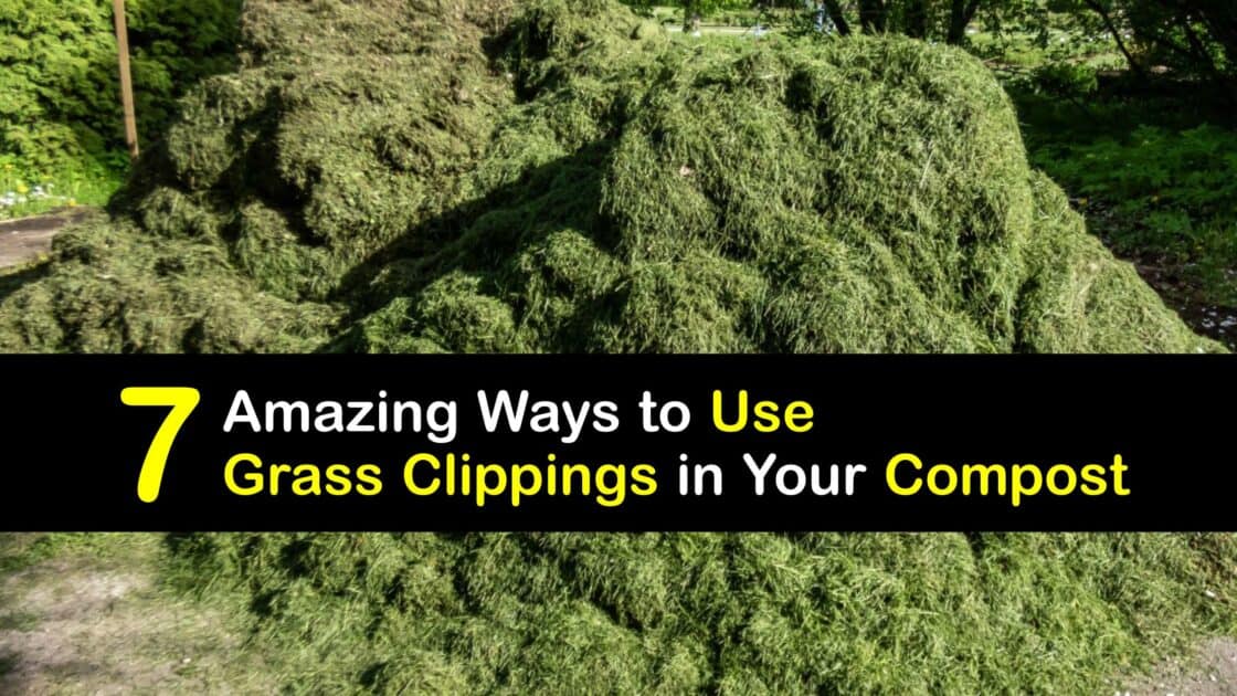 Grass Clippings and Composting - Ways to Compost Mown Grass