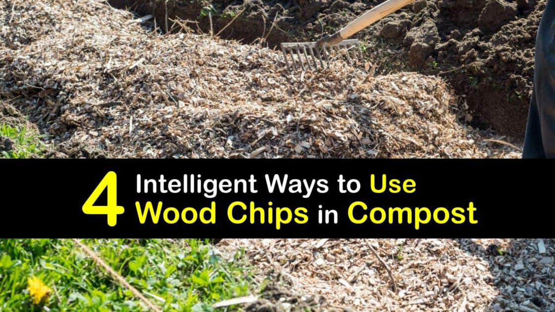 Wood Chips in Your Compost - Composting with Wood Scraps