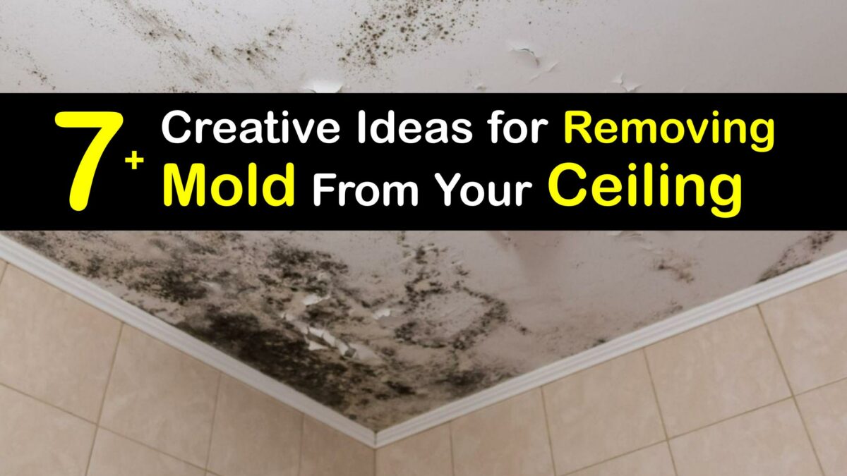 Eliminating Mold - Tricks for Removing Mold from the Ceiling