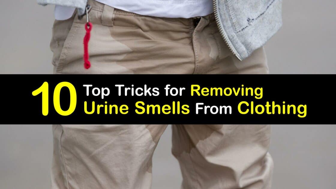 Clothing Smells - Clever Tricks to Get Pee Odors Out of Clothes
