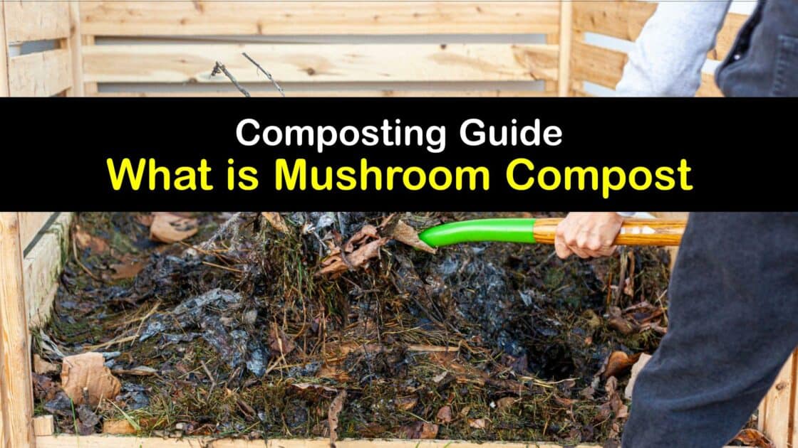 Mushroom Composting - Mushroom Compost Guide