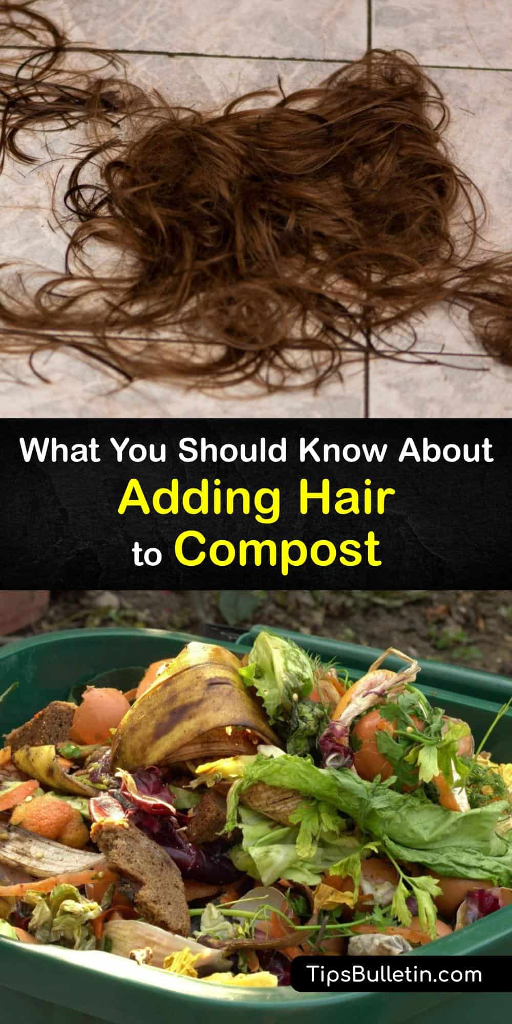 Is Hair Good for Compost - Guide to Composting Hair