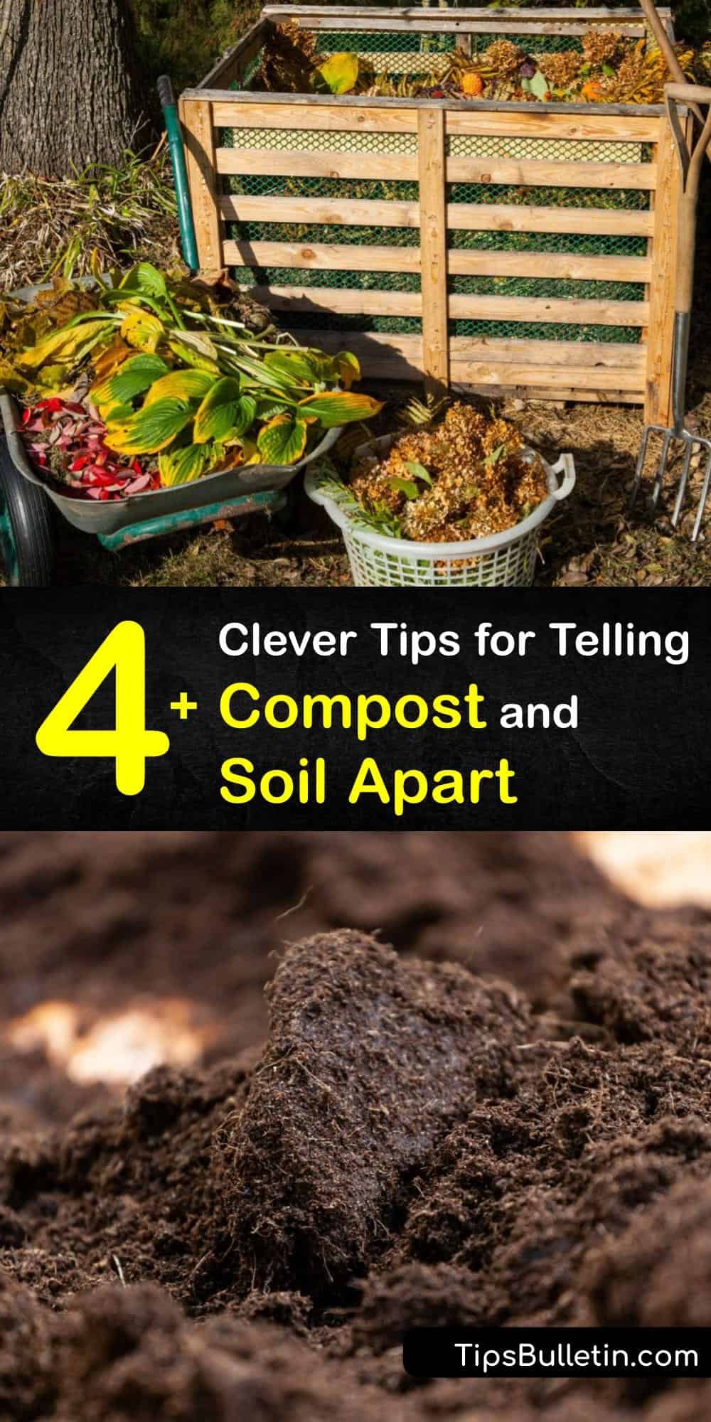 How Compost and Soil Differ - Comparing Compost and Soil