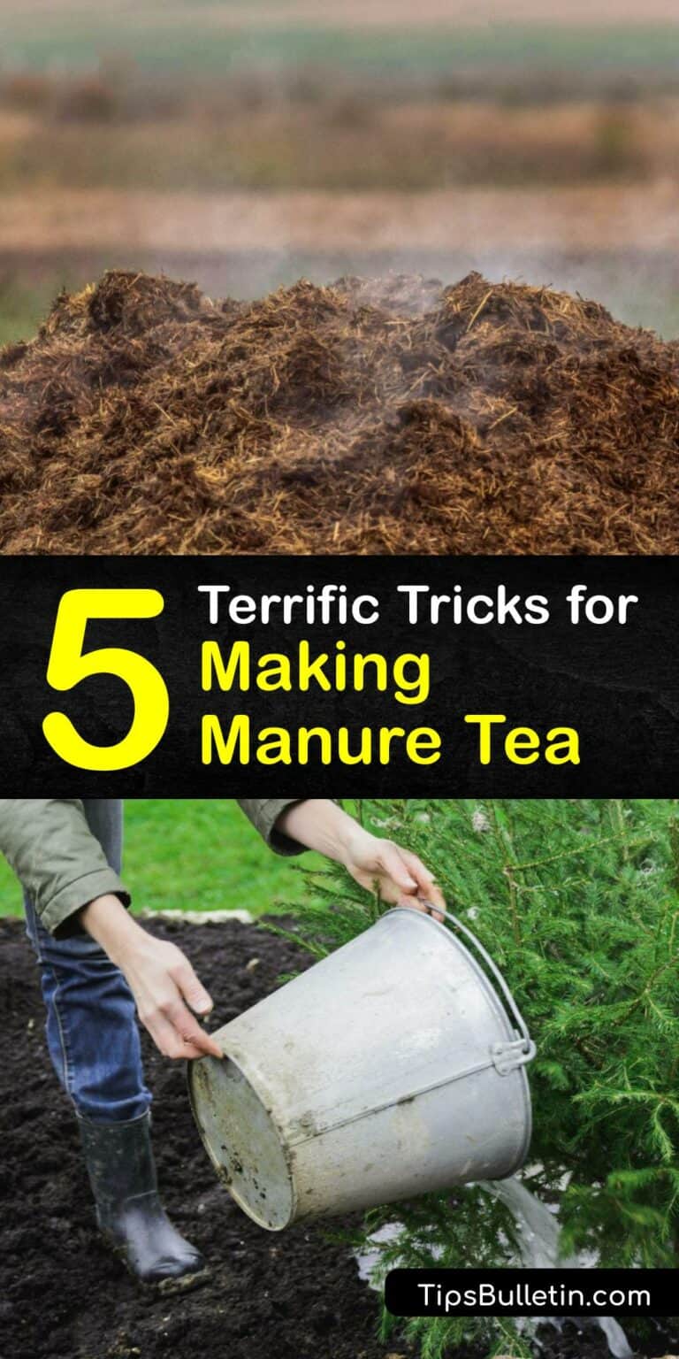 DIY Manure Tea - Make Your Own Organic Fertilizer