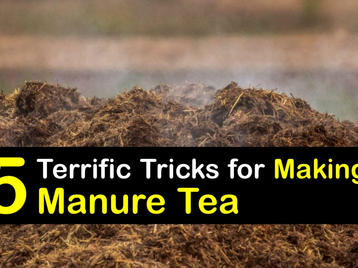 Kendra Huffman, Author at Tips Bulletin