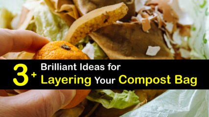Start a Compost Bag - Clever Guide to Making a Bag of Compost