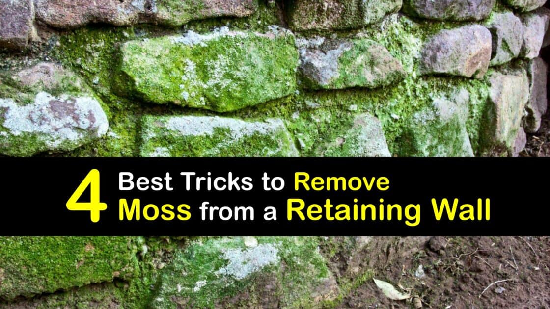 Moss Cleaning - Tips for Removing Moss from a Retaining Wall