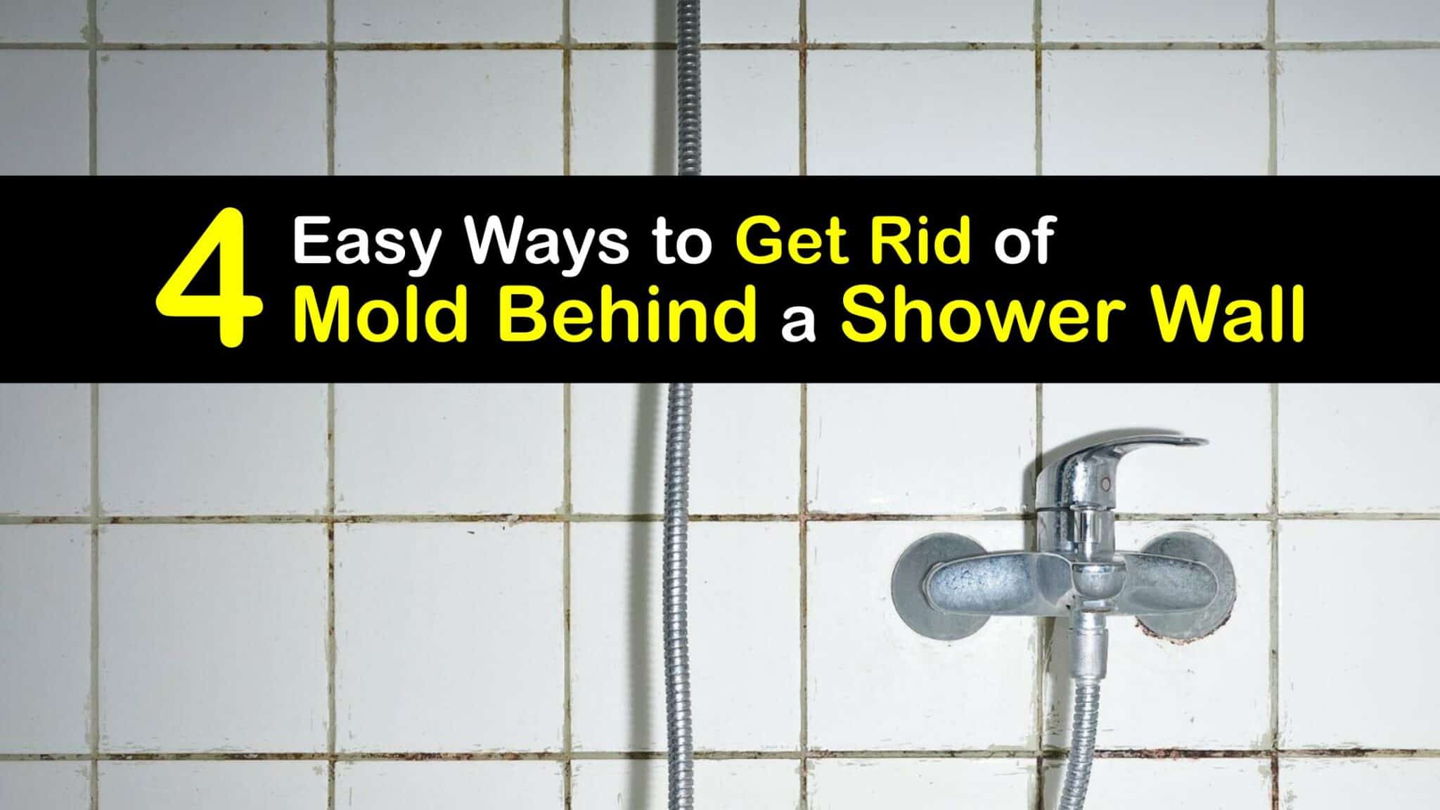 Shower Mold - Awesome Ways to Get Mold Out of Shower Walls