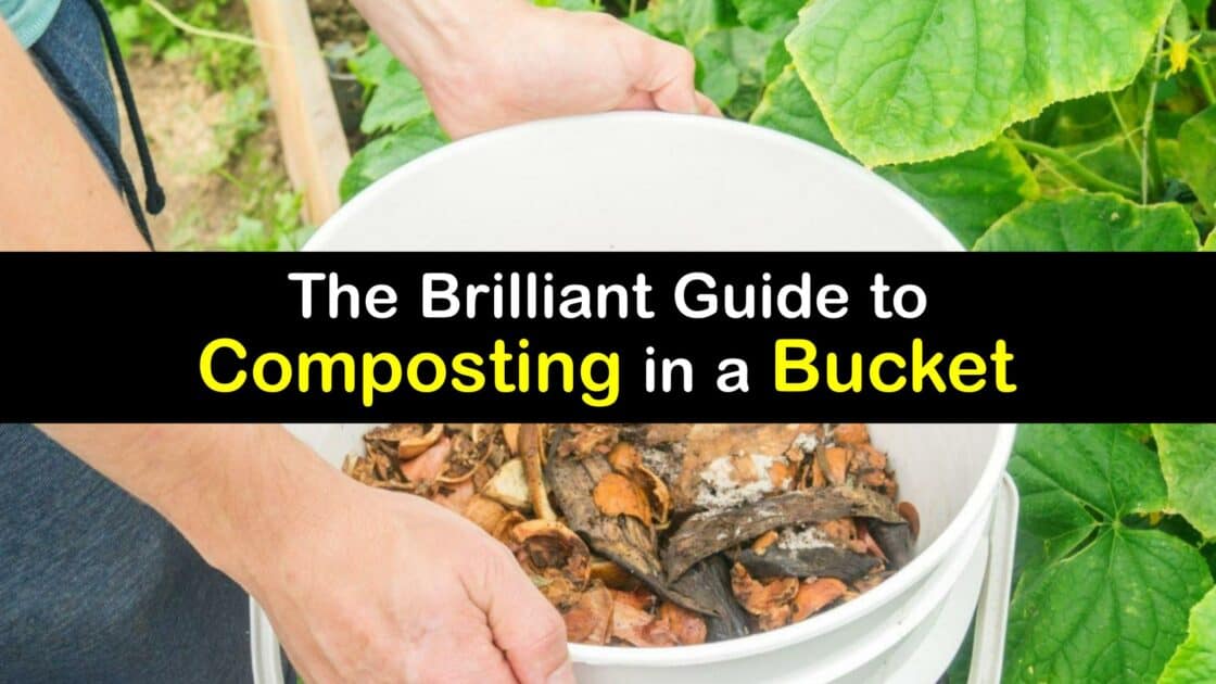Smart Bucket Composting Facts - Start a DIY Compost Bucket
