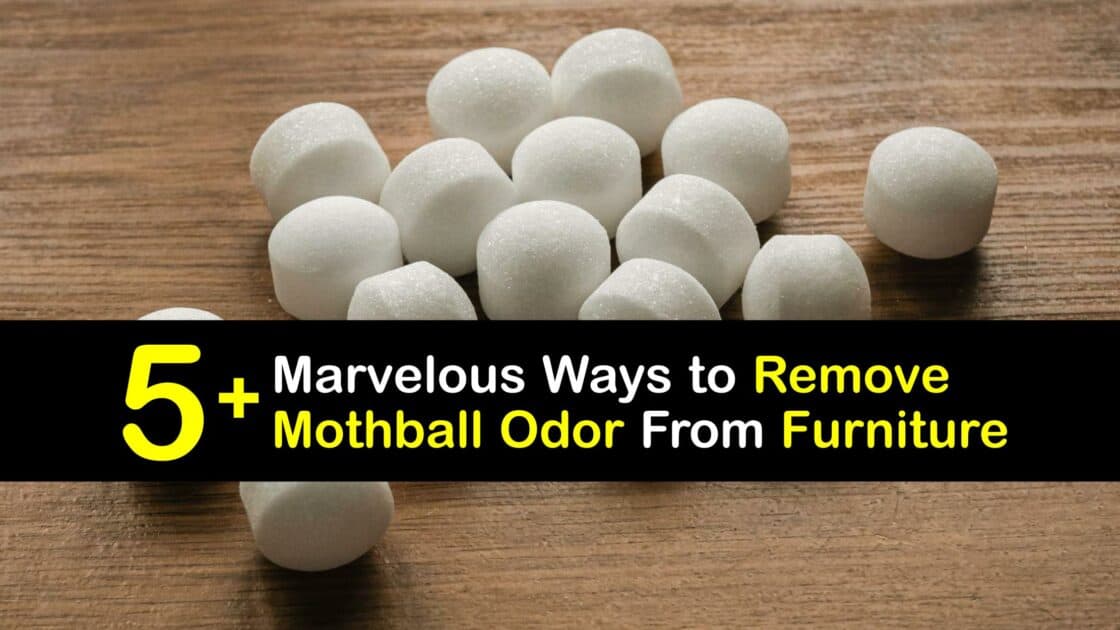 Mothball Odors - Tips to Remove Mothball Smell From Furniture