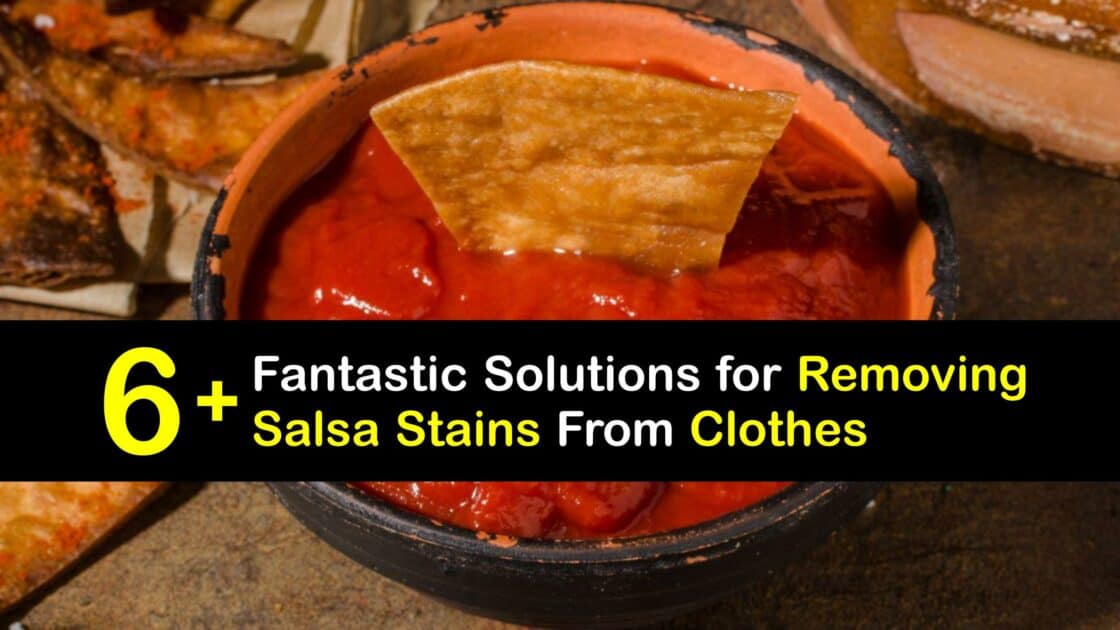 Cleaning Salsa Stains - Clever Guide for Getting Salsa off Clothes