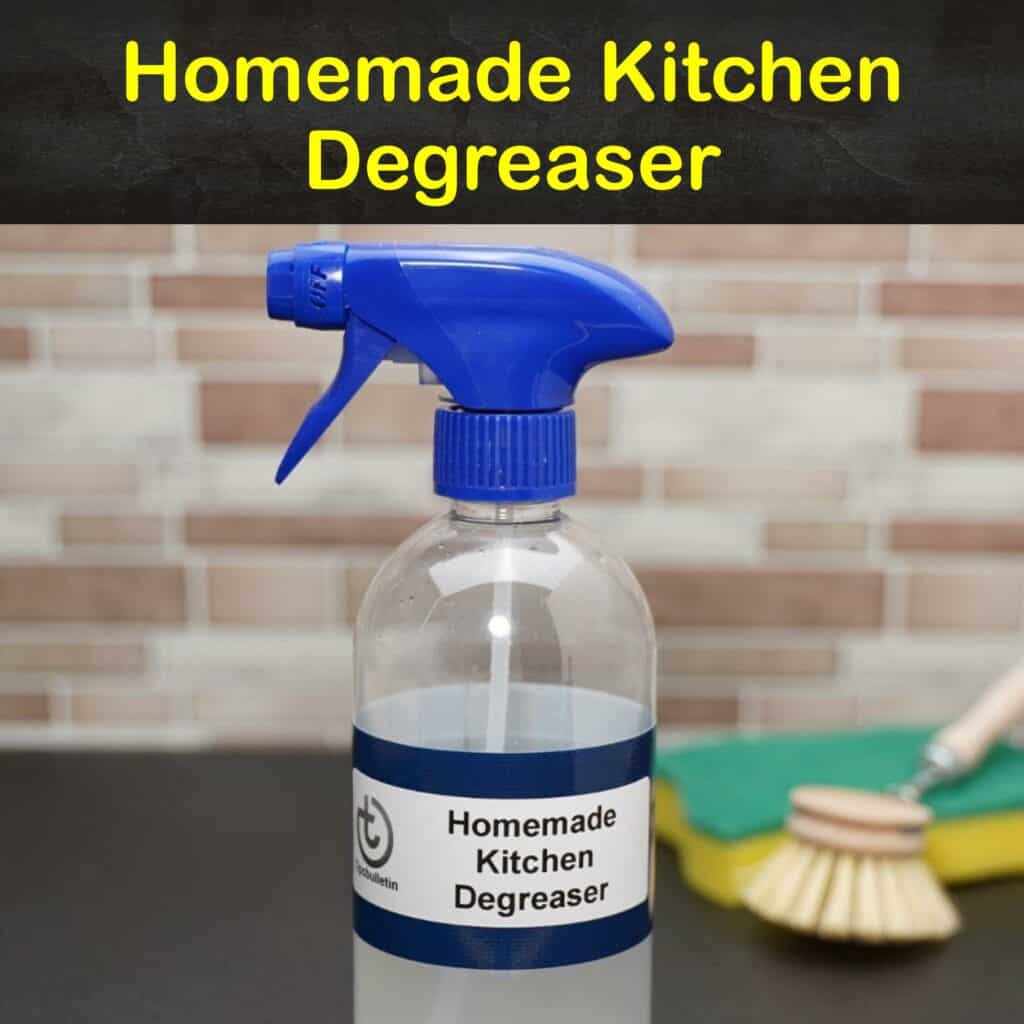 6 Easy-to-Make Kitchen Degreaser Recipe Ideas