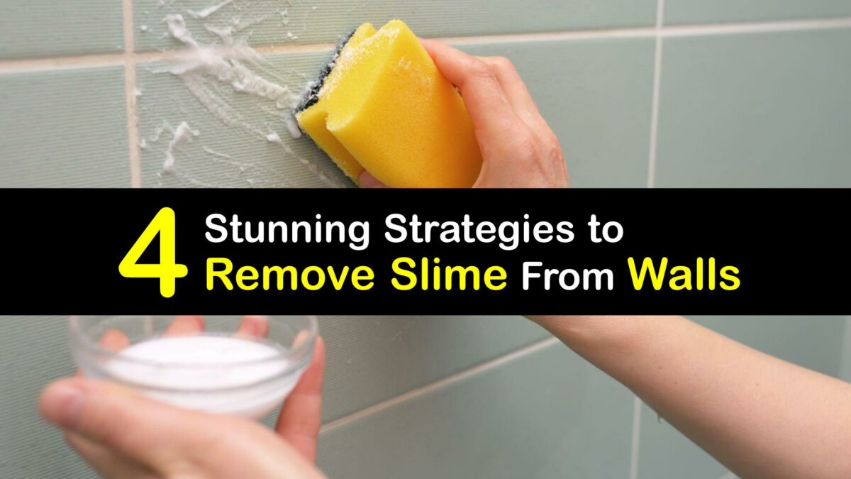 Slime Cleaning - Smart Tips for Removing Slime From Walls