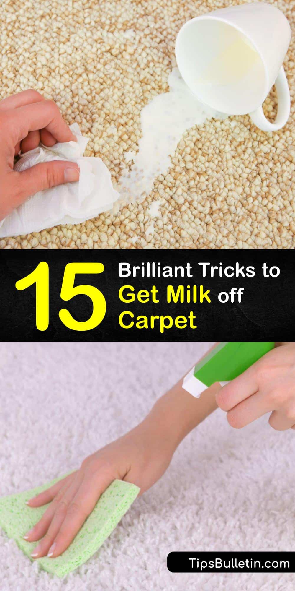 Cleaning Milk Stains - Easy Tricks to Clean a Milk Stain on Carpet