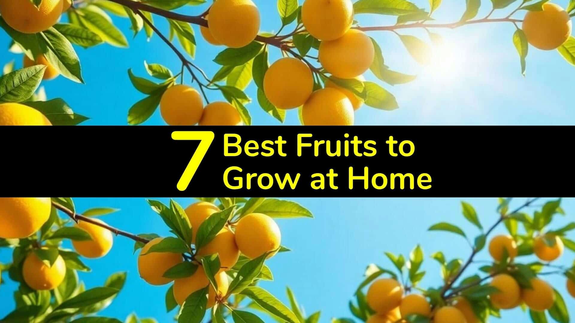 7 Best Fruits to Grow At Home for a Thriving Garden